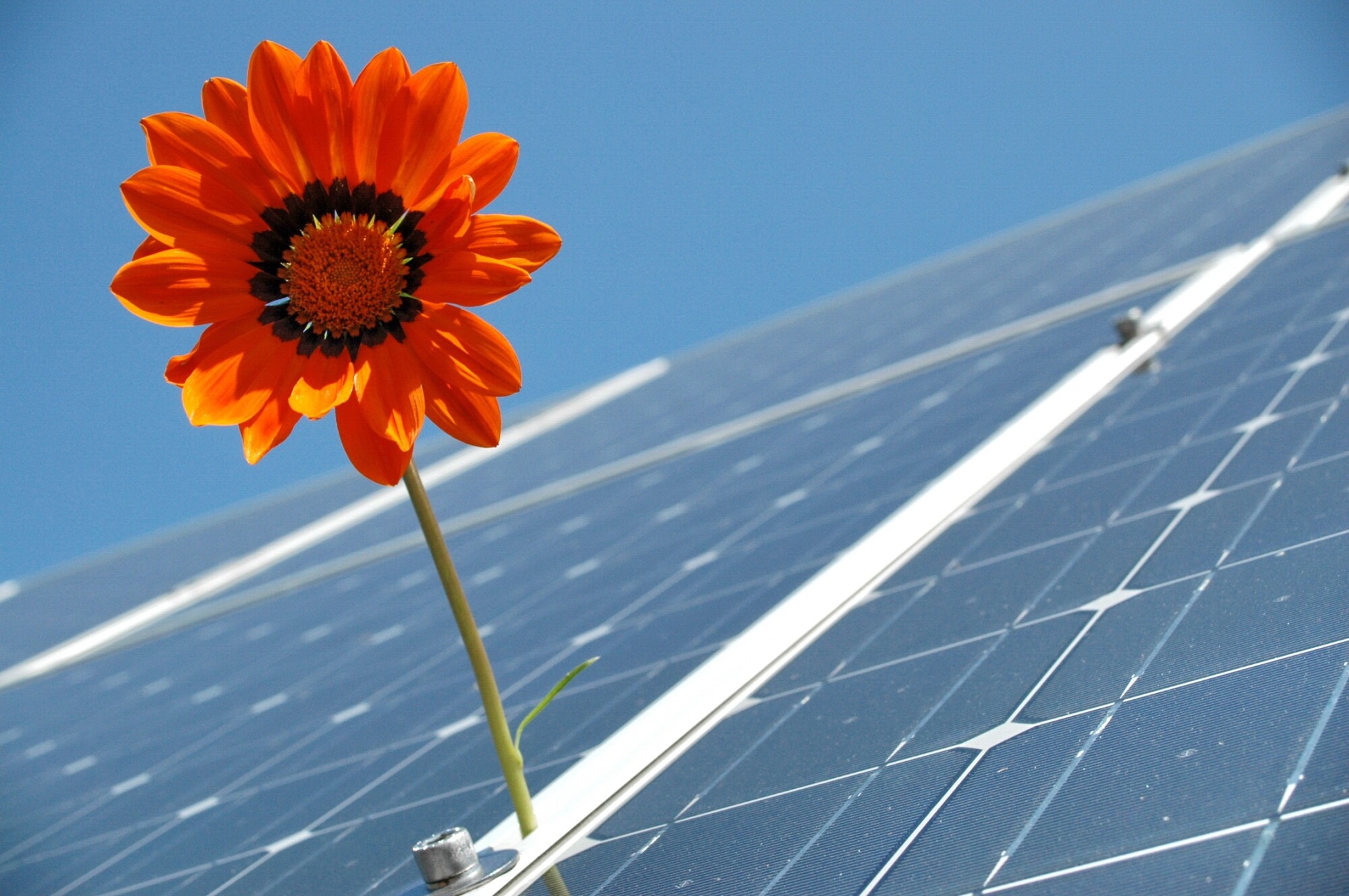 This Is How To Get Arizona Solar Leads Without Cold Calling Invention this-is-how-to-get-arizona-solar-leads-without-cold-calling-invention